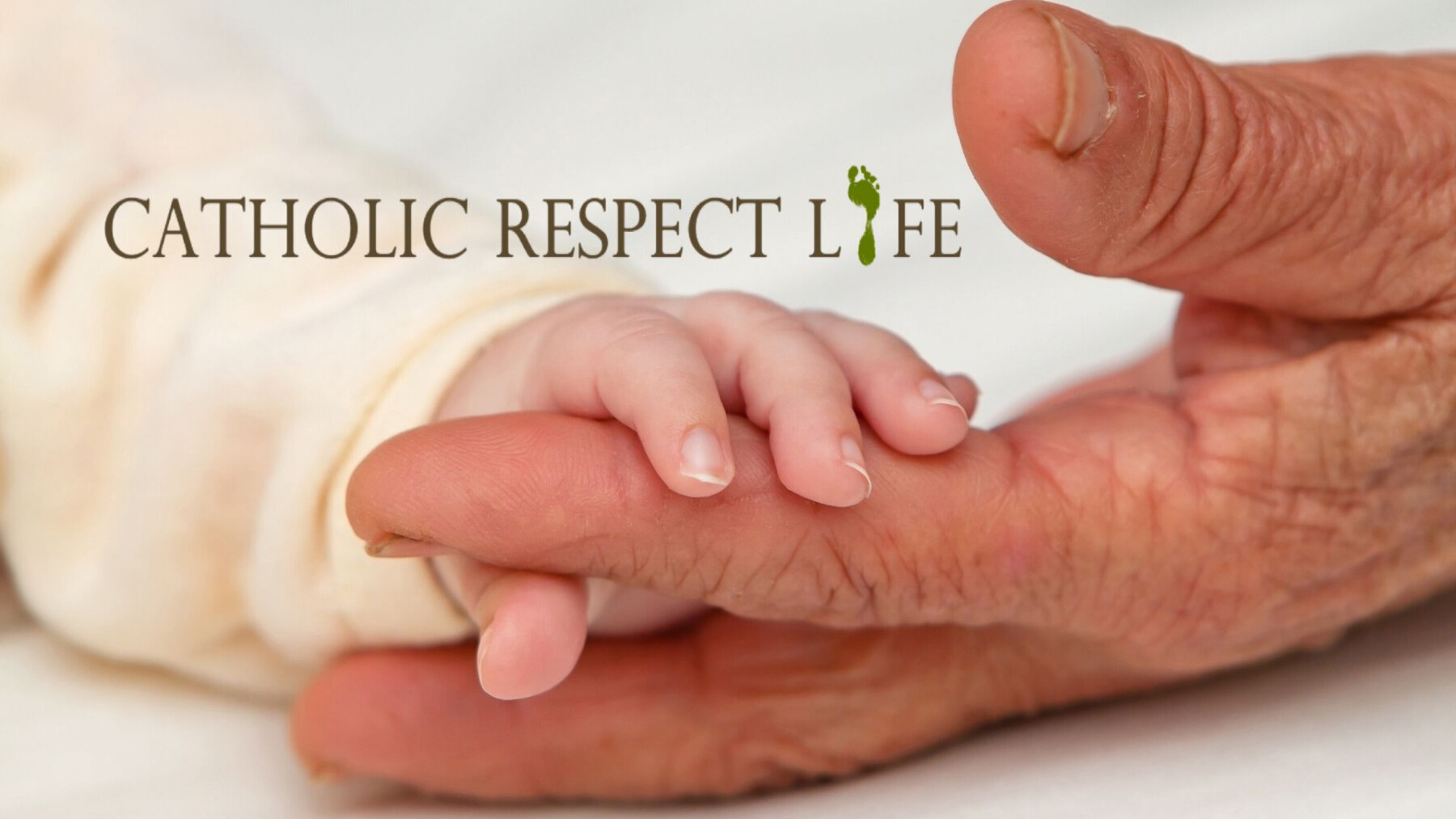 Catholic Respect Life | Good Shepherd Catholic Community