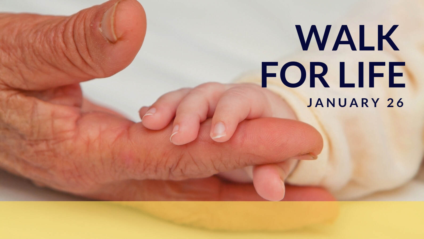 Walk for Life | Good Shepherd Catholic Community